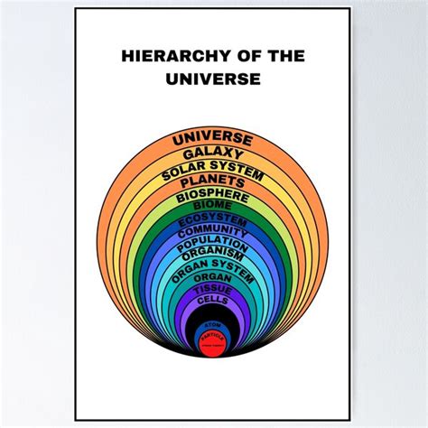 Hierarchy Of The Universe From Particle To Universe Poster For Sale By Sciencestores Redbubble