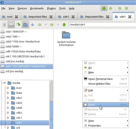 A Step By Step Guide To Recovering Windows Files Using Linux