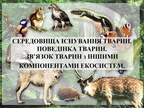 Середовища існування тварин Поведінка тварин Звязок тварин з іншими компонентами екосистем