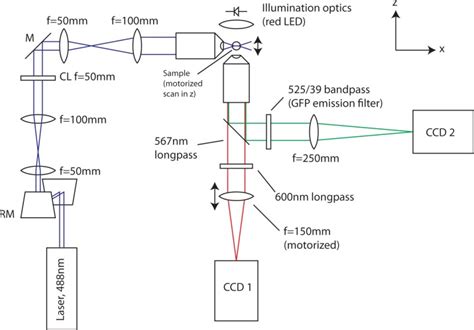 Optical Configuration Of The Microscope A Free Running Camera Ccd1 Download Scientific