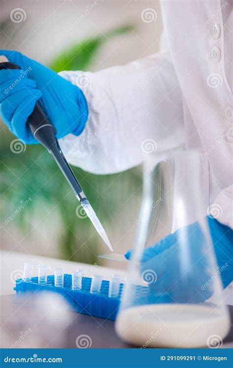 An Expert Assesses Milk Quality In A Laboratory Using Test Tubes For Analysis Stock Image