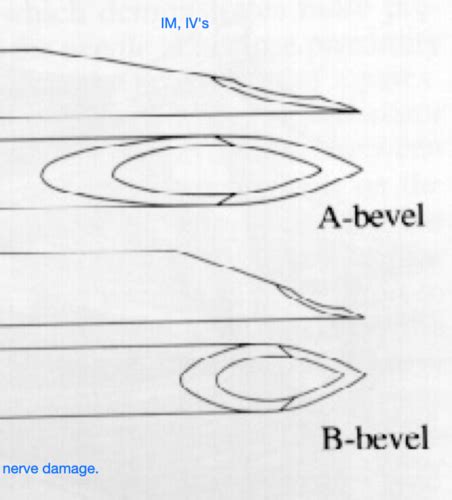 Brachial Plexus Anatomy Mostly Flashcards Quizlet