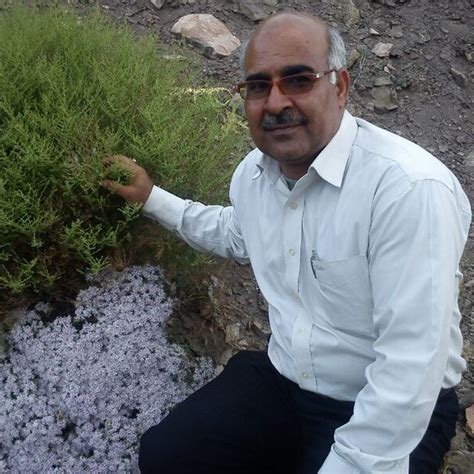 گی ایرانی — گیایرانی هیکلی بی اعصاب