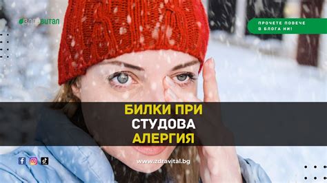 Билки при Студова Алергия Здравитал