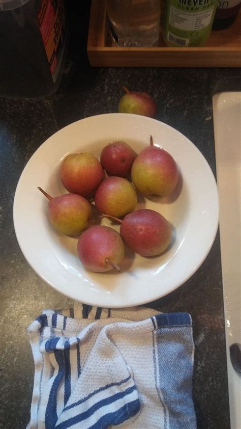 Tiny Pears In 2022 Food Fruit Pear