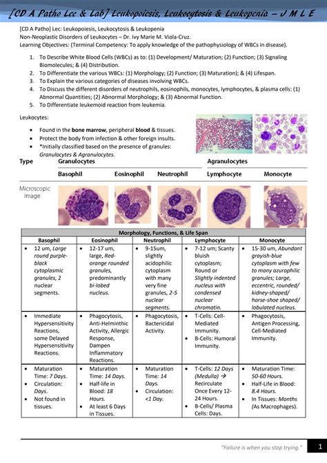 Solution Cd A Patho Lec Lab Leukopoiesis Leukocytosis Leukopenia Studypool Solution Cd A Patho Lec Lab Leukopoiesis Leukocytosis Leukopenia Studypool