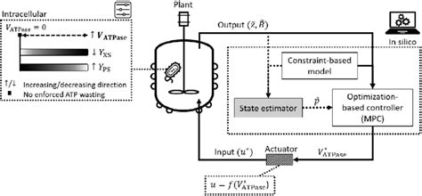 Summarizes The Resulting Shrinking Horizon Optimal Control Strategy