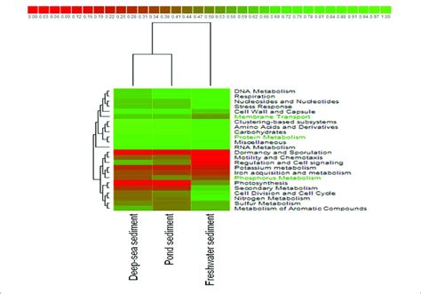 Hierarchical Clustering Combined With Heat Mapping Based On Download Scientific Diagram