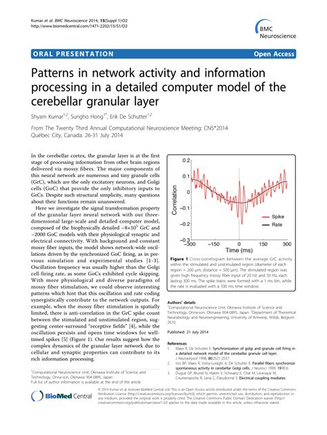 Pdf Patterns In Network Activity And Information Processing In A Detailed Computer Model Of