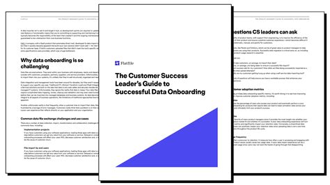 The Customer Success Leaders Guide To Successful Data Onboarding Flatfile