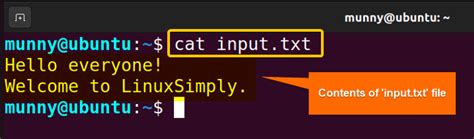 bash input redirection [3 practical cases] linuxsimply