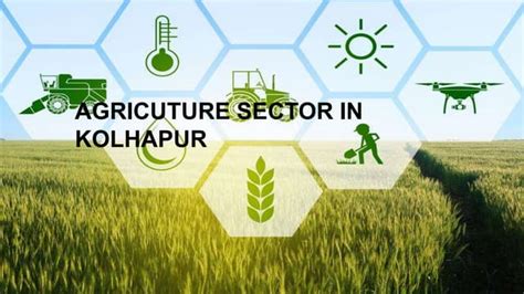 Agriculture Sector In Kolhapur Prachi Kamble Ppt