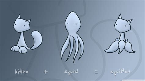 Kitten Plus Squid Equals Squitten 4k Uhd Wallpaper For Ultrahd Desktop