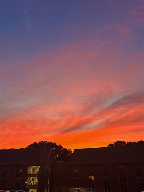 Gallery Robin Bull Vsco