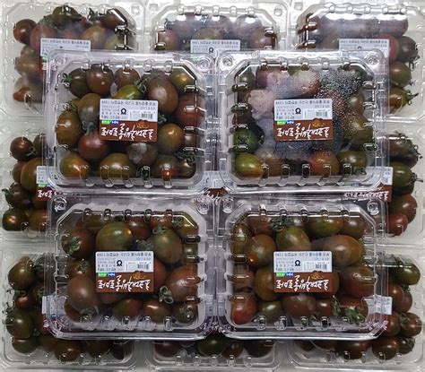 영주농협 파머스마켓 Band