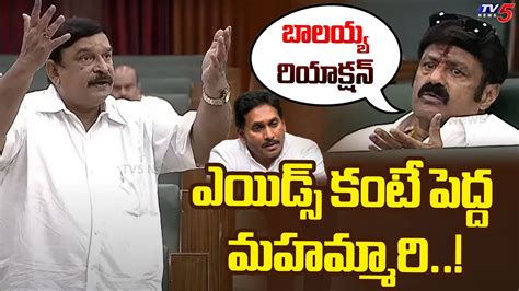 Bjp Mla Vishnu Kumar Raju About Jagan Scams In Assemby Balakrishna Reaction Tv5 News Youtube