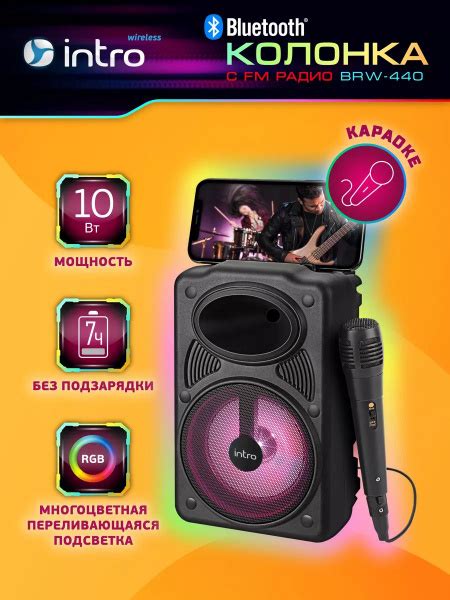 Аудиосистема Hi-Fi Sound + Караоке Микрофон Портативная беспроводная ...