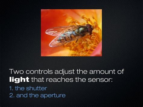 Controlling Your Camera Shutter PPT