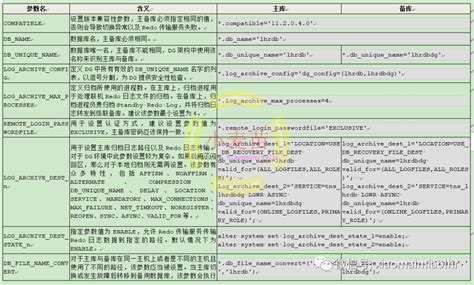 在oracle的dg中，有哪些重要的参数，它们分别代表什么含义？ 墨天轮