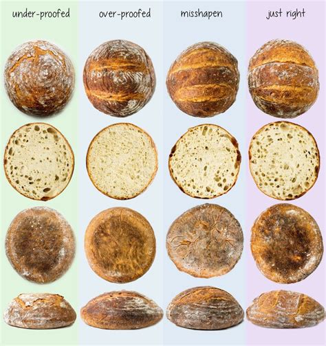 27 Lifesaving Charts For Anyone Who Loves Baking Artisan Bread