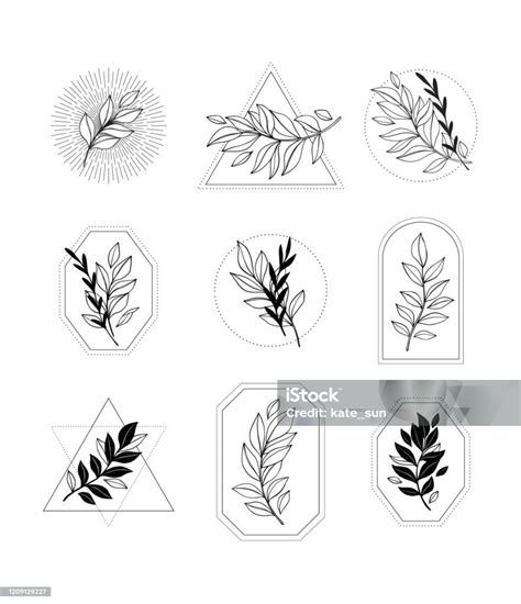 선형 스타일의 도면이있는 최신 유행 벡터 S 나뭇잎과 가지가있는 검은 색 기하학적 모양 라인과 실루엣 브랜드 포장 화장품 보석 상점 잡지에 적합 검은색에 대한 스톡 벡터