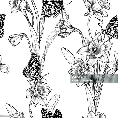 스케치 플로럴 장식 세트 원활한 수선화 또는 수선화 그림 흰색 배경에 고립 된 빈티지 라인 아트 손으로 그린 식물 삽화 패턴 벡터 수선화속에 대한 스톡 벡터 아트 및 기타