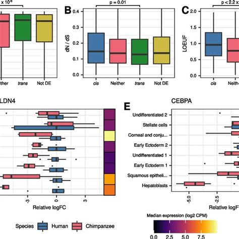 Genes With High Cis Proportion Show Evidence Of Relaxation Of Download Scientific Diagram