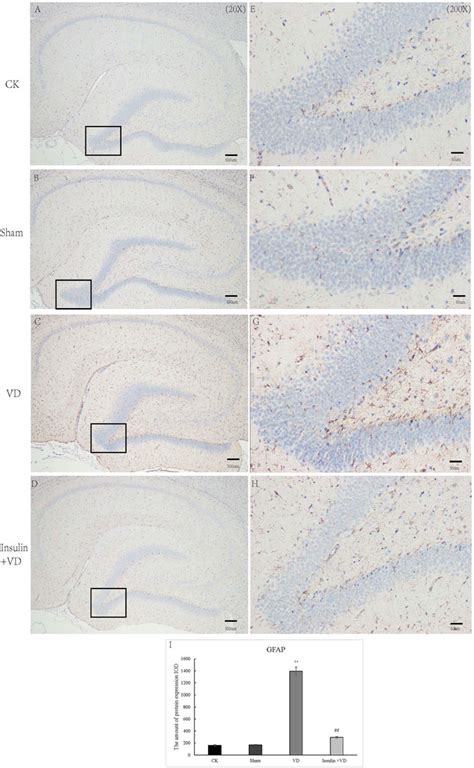 Frontiers Integrated Transcriptome And Metabolome Analysis To