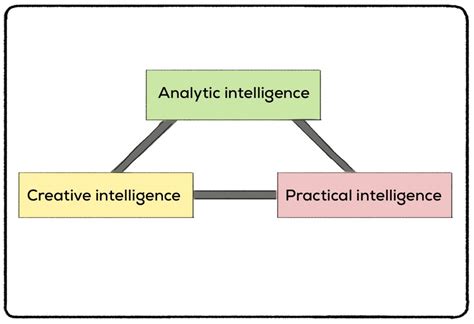 What Is Intelligence Definition And Controversy Practical Psychology