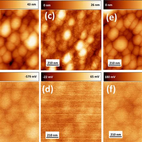 A And B The Topography And Surface Potential Images Under White Download Scientific Diagram
