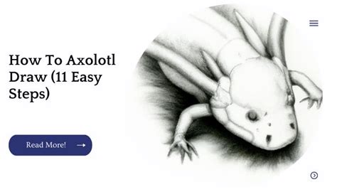 How To Axolotl Draw 11 Easy Steps Unified Pets