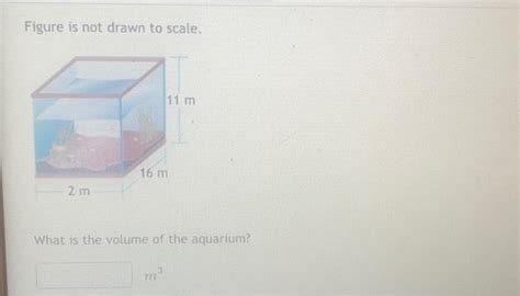 Solved The Image Is Not To Scale Find The Area Of The Base Chegg Com