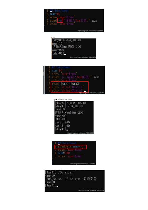 shell脚本语言详解：从入门到实践 csdn文库