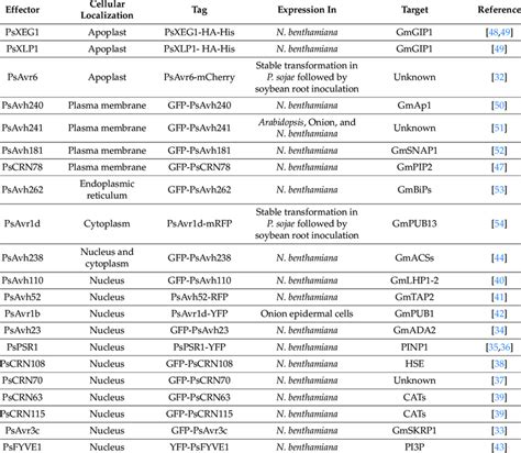 Subcellular Localization And Target Proteins Of Phytophthora Sojae Download Scientific Diagram