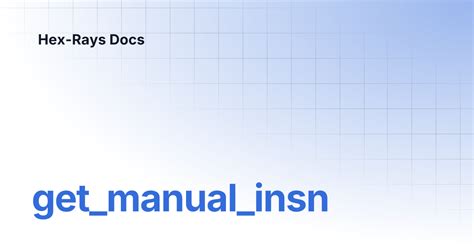 get manual insn hex rays docs