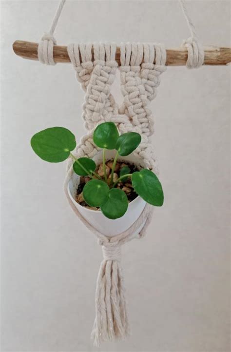 Міні кашпо — ціна 150 грн у каталозі Кашпо Купити товари для дому та побуту за доступною ціною