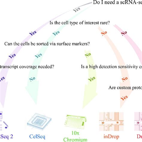 Flow Chart Summarizing Current ScRNA Seq Data Analysis Principles Download Scientific Diagram
