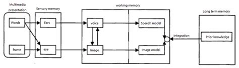 Cognitive Theory Of Multimedia Learning Download Scientific Diagram