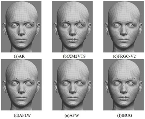 Coarse To Fine Human Face Key Point Detection Method Eureka Patsnap