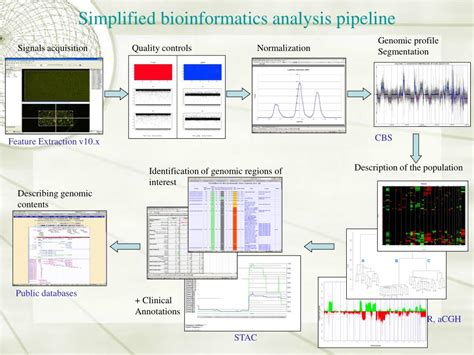 Ppt Array Based Comparative Genomic Hybridization Powerpoint Presentation Id 4390922
