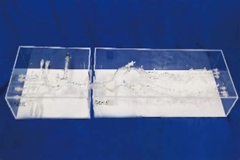 Silicone Vessels Simulation Model Manufacturer Vascular Simulation Preclinic Medtech