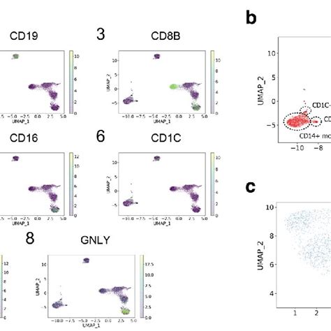 Overview Of Bermuda For Removing Batch Effects In Scrna Seq Data A The