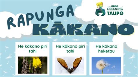 Rauemi Reo Māori Nature Connectors Resources By Nzaee
