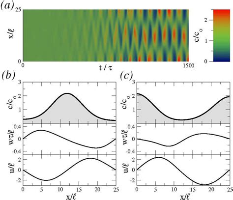 A Spatiotemporal Evolution Of The Concentration C Profiles Of