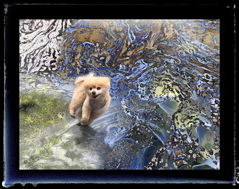 Whee Digital Art By Genise Smith Fine Art America