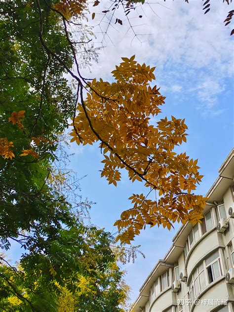 致2023级学子下一站：南京信息工程大学欢迎你 知乎