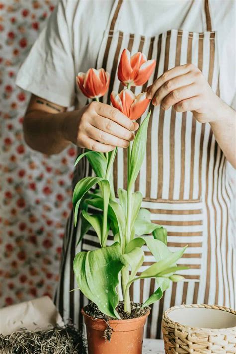 31 Fun Hobbies To Try This Spring And Summer For Adults 2025 Fleurish