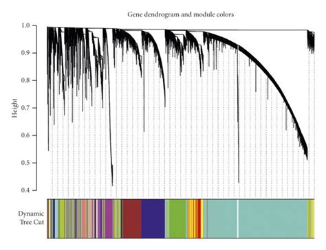 a sample clustering dendrogram with feature heatmap b network