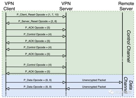 基于主被动结合的openvpn识别与检测 安全内参 决策者的网络安全知识库