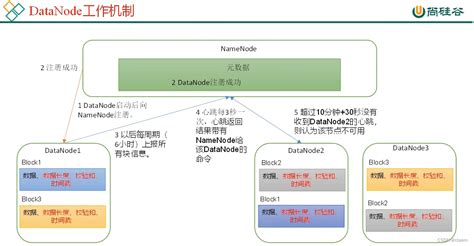 Hadoop 的一些思维导图 方便回顾 1 Hadoop 思维导图 Csdn博客